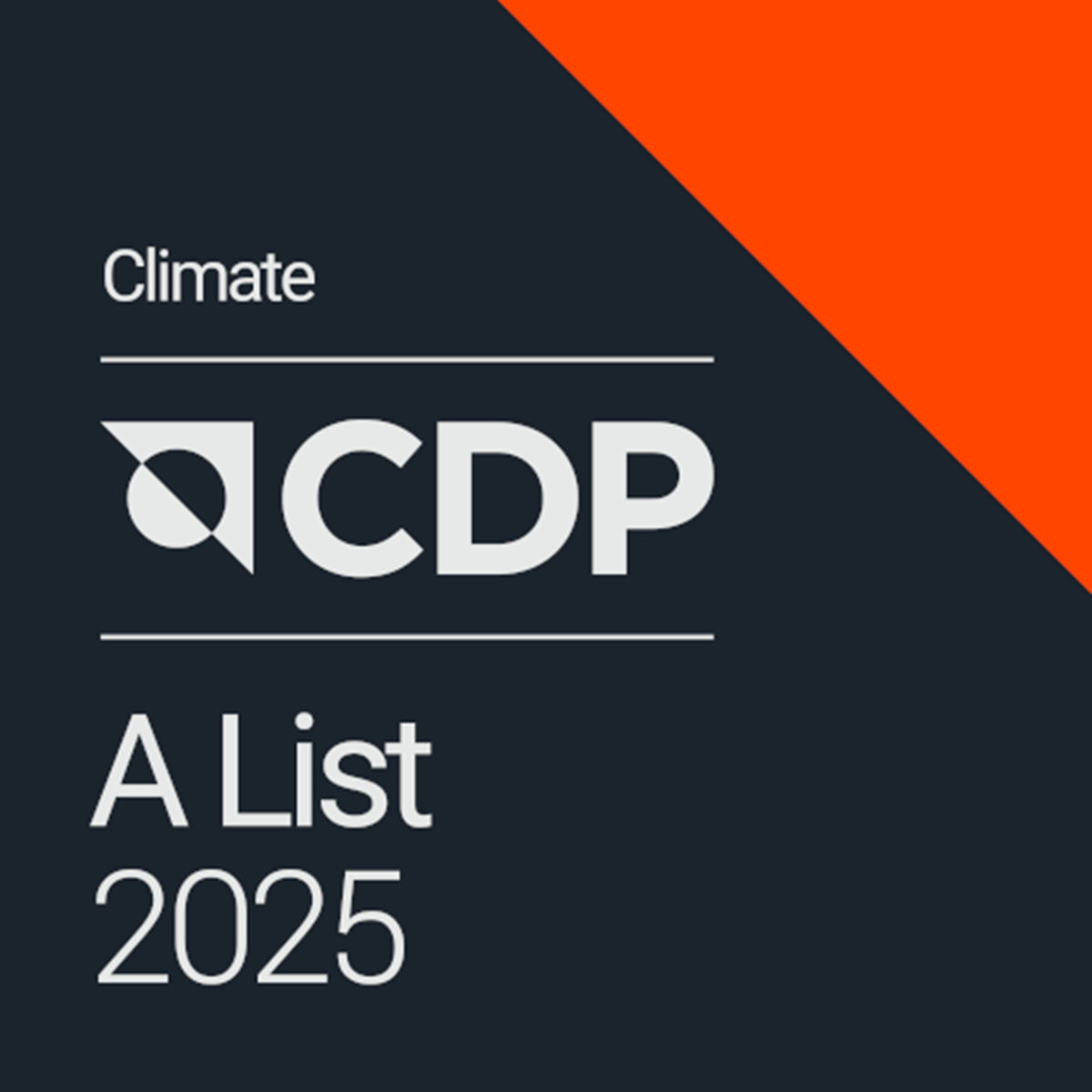 NSG Group Selected for the First Time as a CDP Climate Change "A List ...